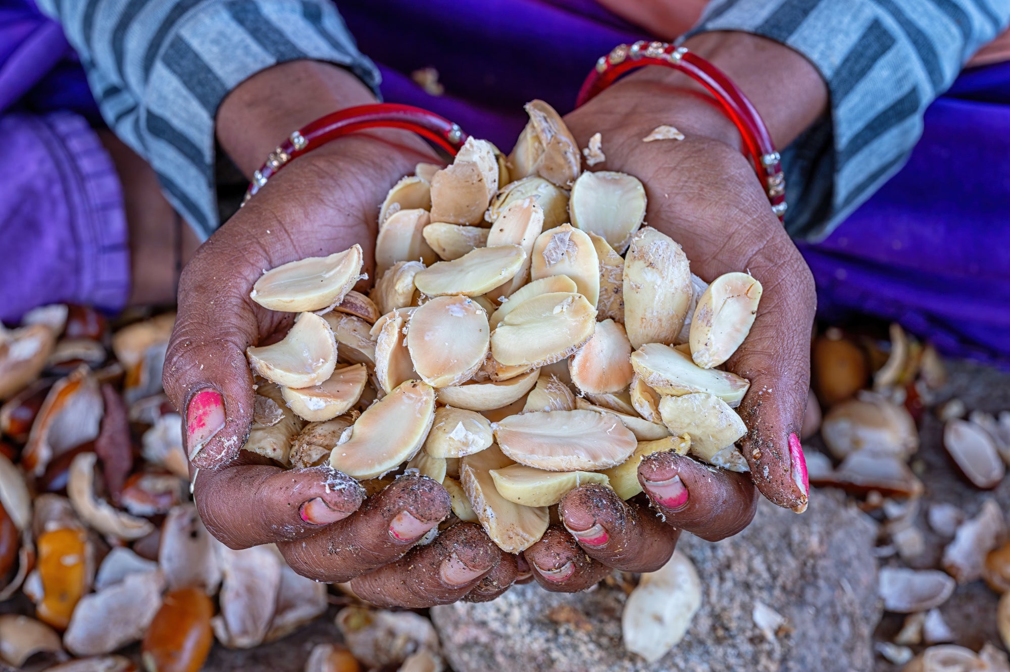 Why Mahua Oil is the Next Big Thing in Natural Skincare – sohraibeauty
